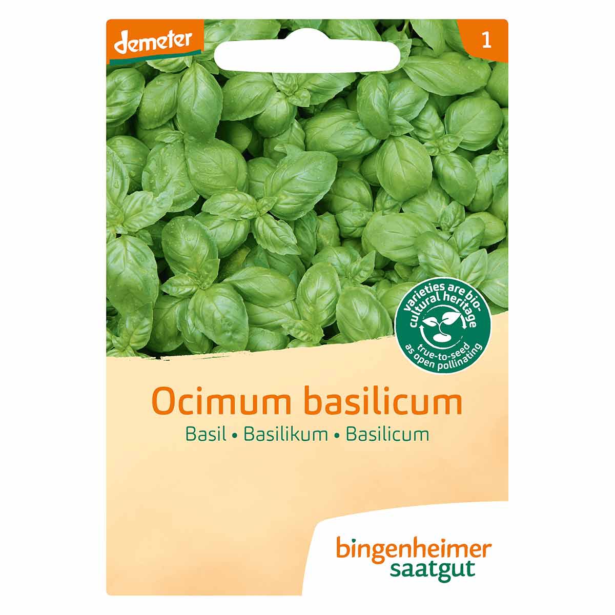 Basilicum ocimum