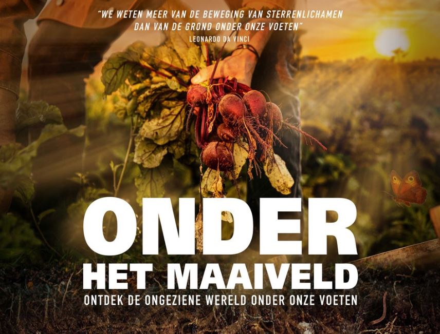 Onder het Maaiveld
